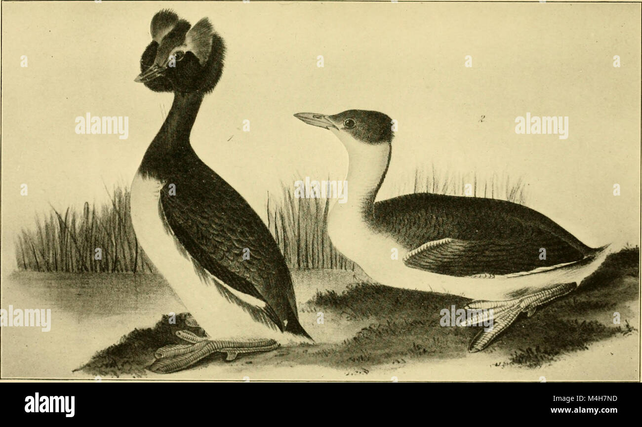 The 1908 annual report of the New Jersey State Museum includes updates ...