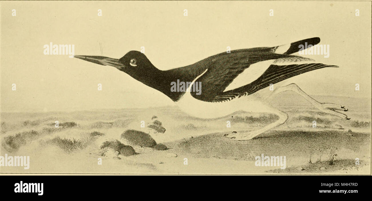 The 1908 Annual Report of the New Jersey State Museum provides insights ...