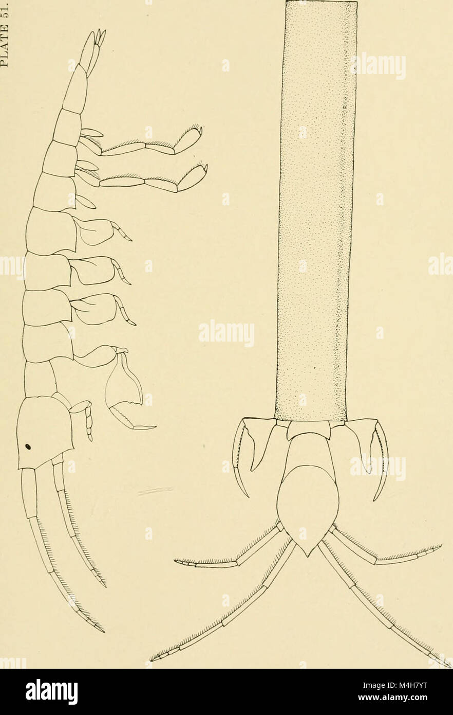 The 1911 Annual Report of the New Jersey State Museum outlines the ...