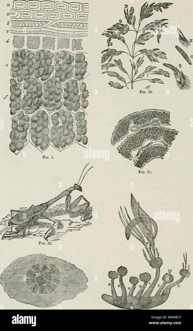 The 1857 Annual Report of the Ohio State Board of Agriculture covers ...