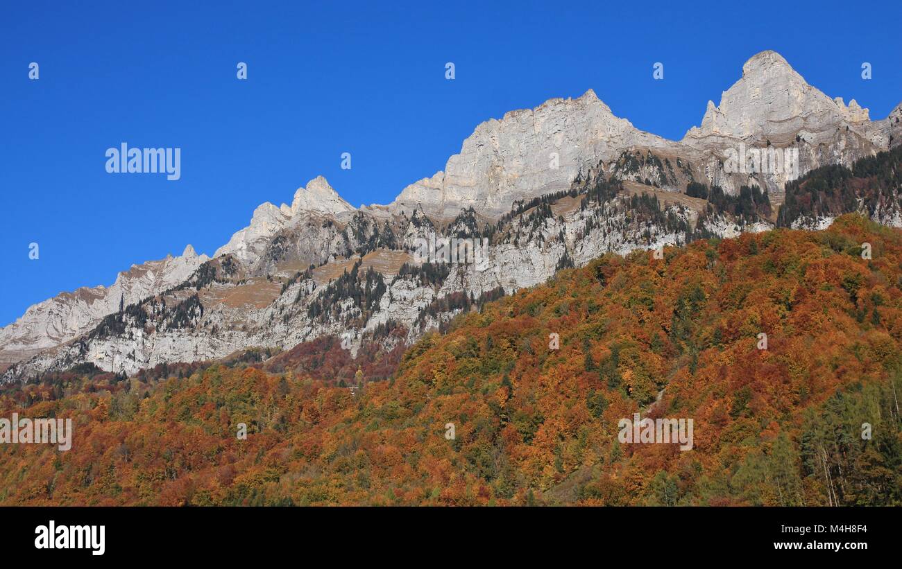 Mountains of the Churfirsten range. Multi colored autumn forest ...