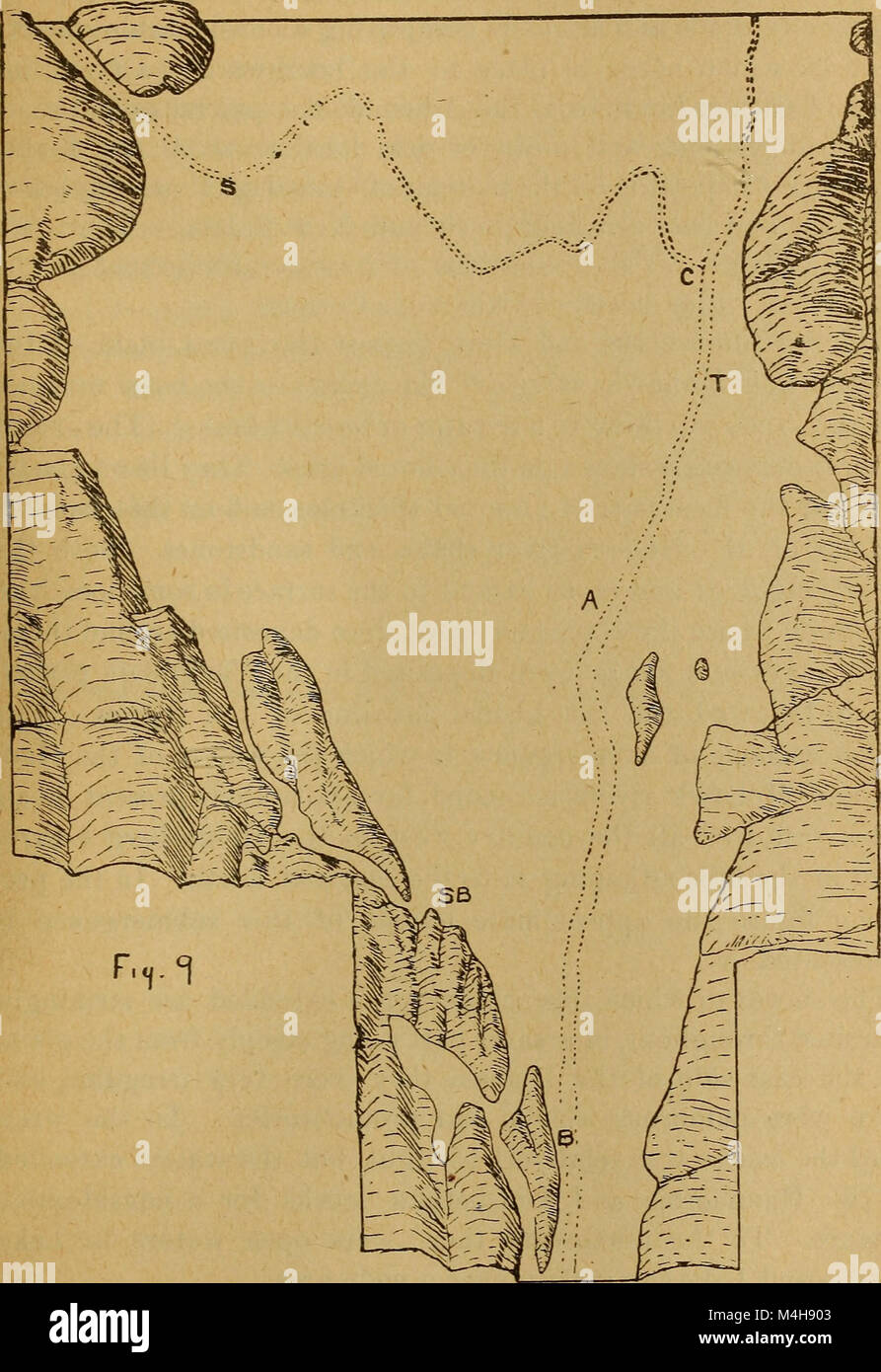 The 1894 Annual Report of the Regents covers the activities and ...