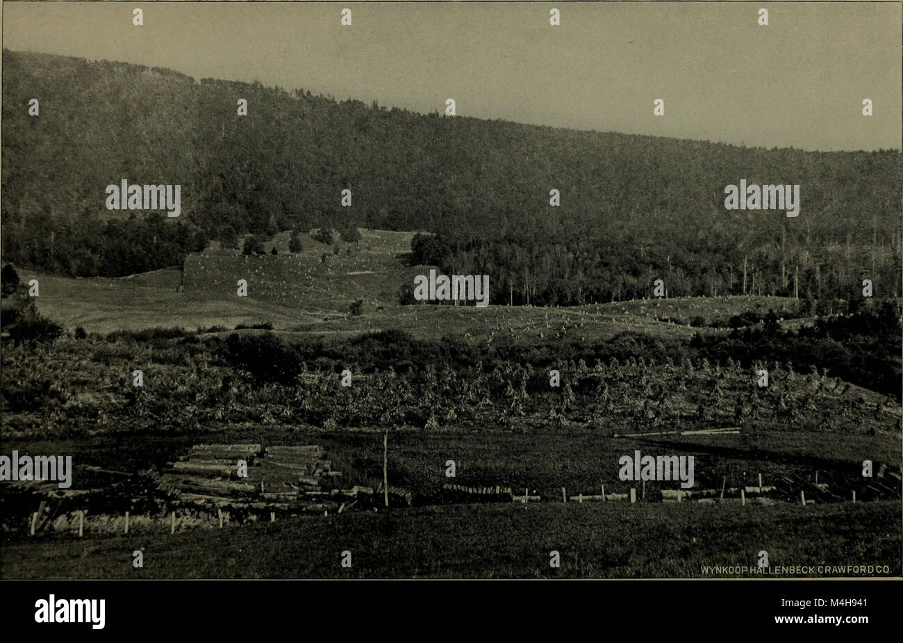 The 1897 Annual Report of the Regents presents an overview of ...