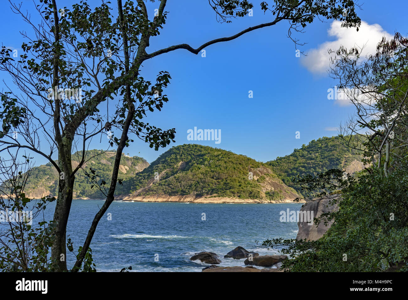 The sea and forest Stock Photo - Alamy