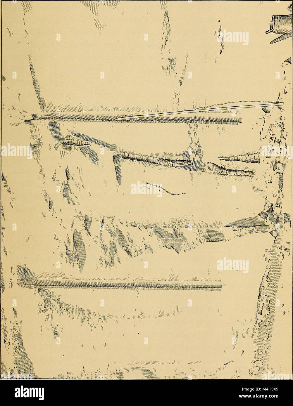 The 1900 Annual Report of the Regents provides a detailed summary of ...