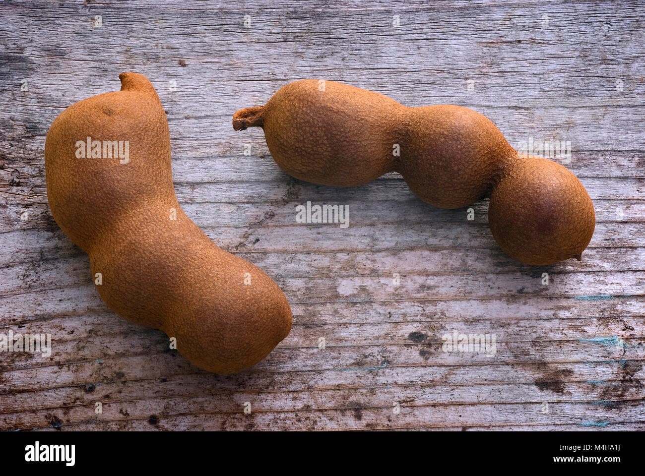 Two tamarind pods (Tamarindus indica) on wooden table Stock Photo - Alamy