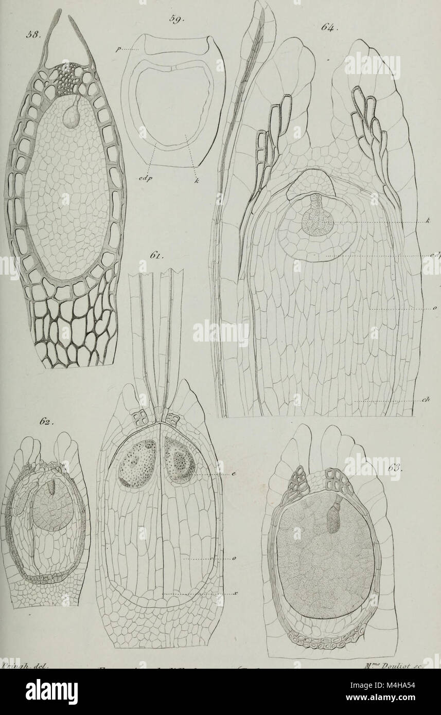 The 1859 volume of 'Annales des Sciences Naturelles Botaniques ...