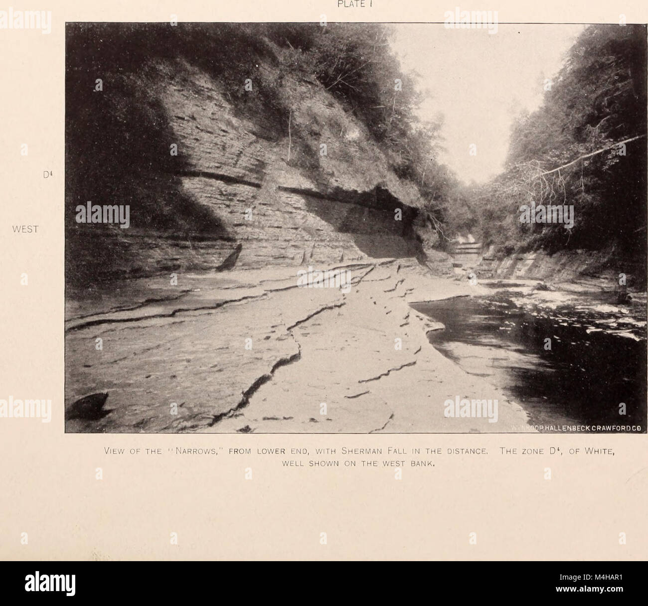 The 1895 Annual Report of the Regents provides a summary of the New ...