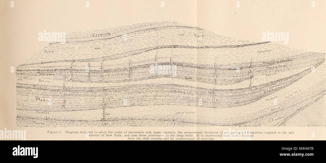 Annual report of the Regents - New York State Museum. (1896 ...