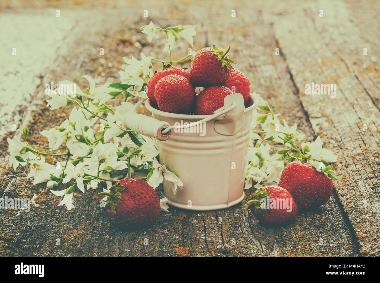 Fresh red strawberry Stock Photo - Alamy