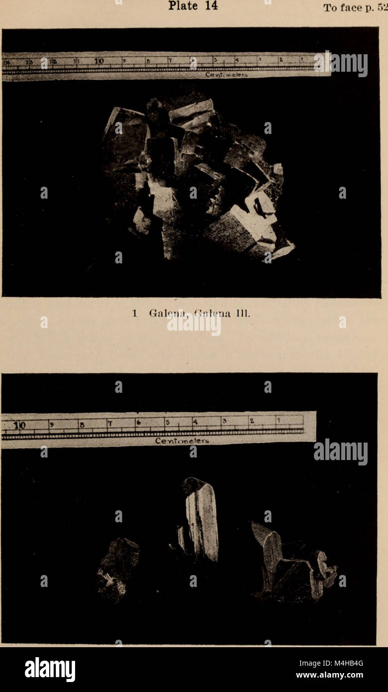 This 1902 annual report from the Regents of the New York State Museum ...