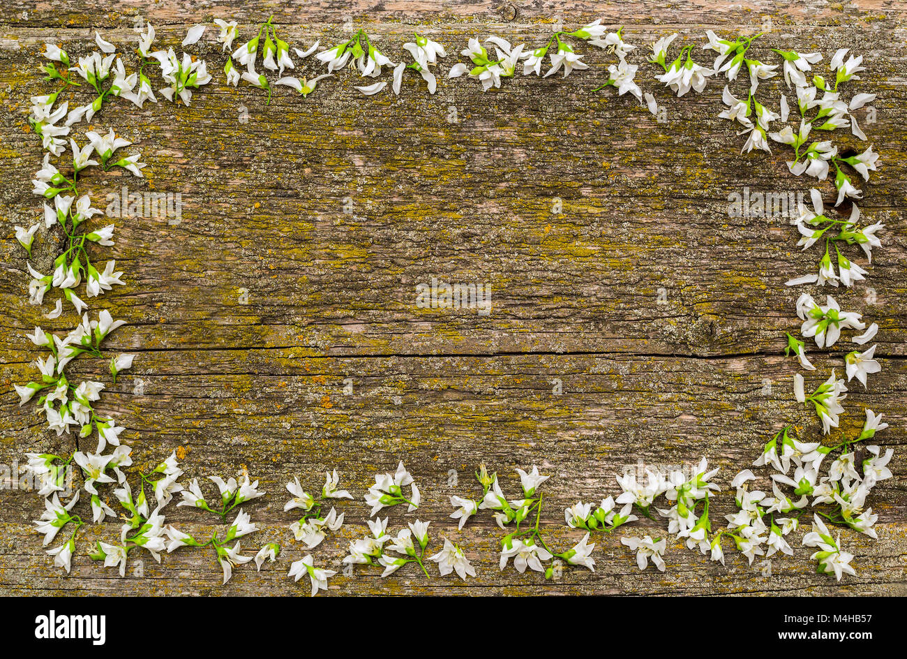 White flowers frame Stock Photo - Alamy