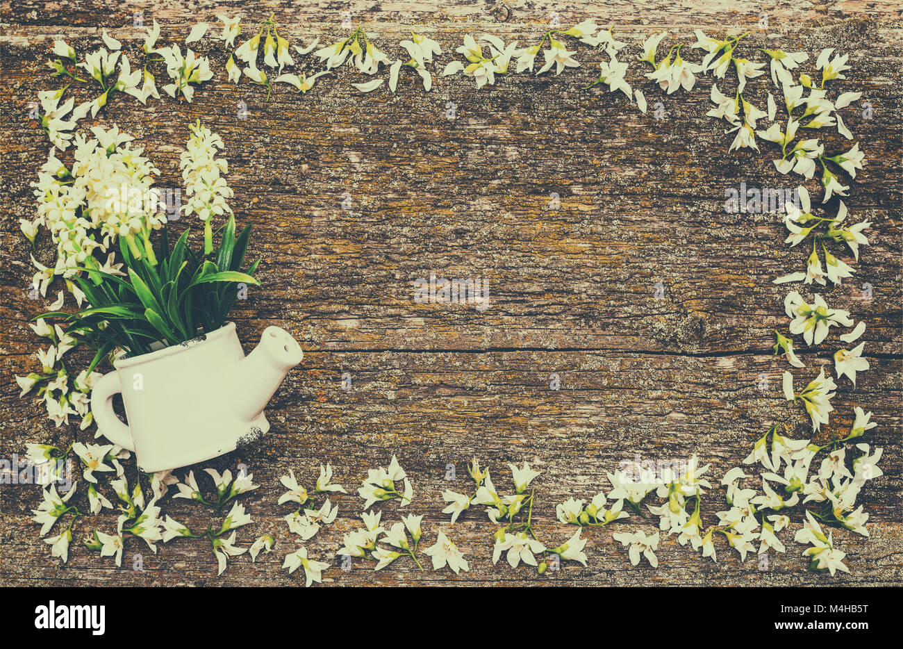 White flowers frame Stock Photo - Alamy