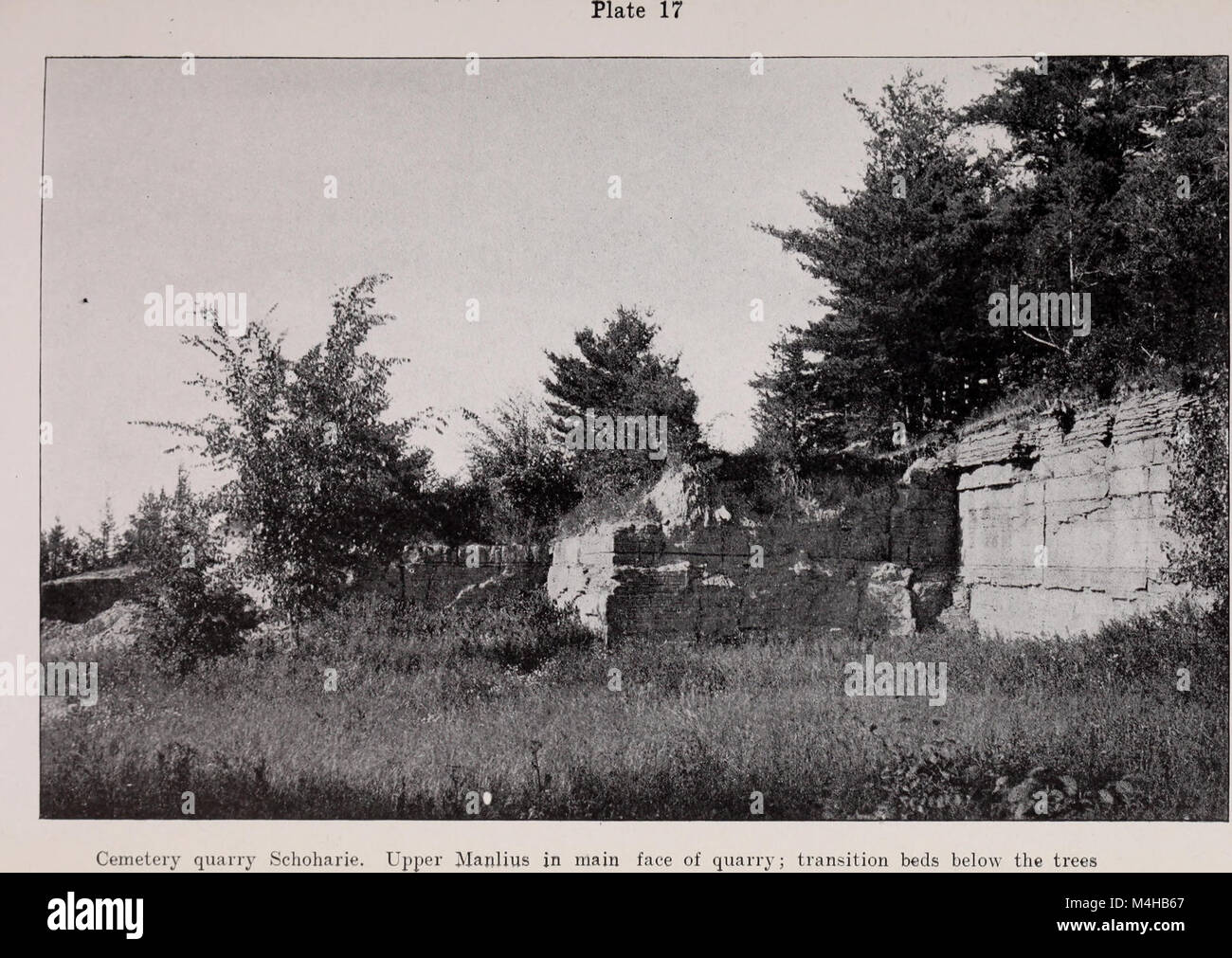 Annual report of the Regents - New York State Museum. (1904 ...