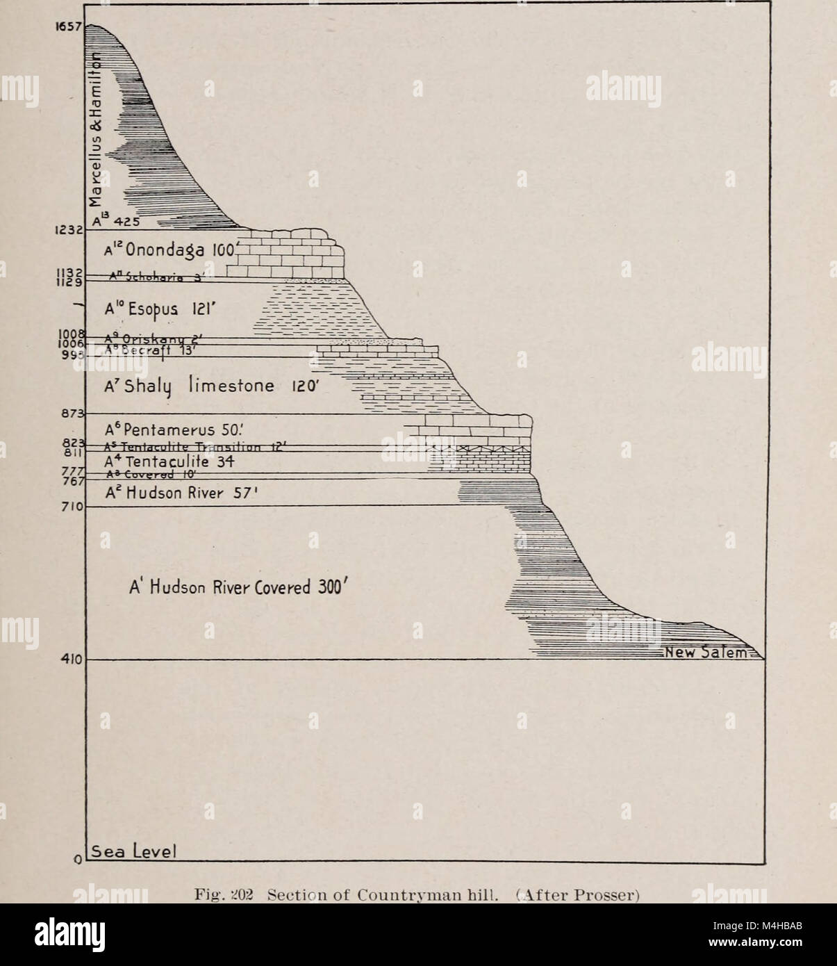 The 1904 annual report of the Regents for the New York State Museum ...
