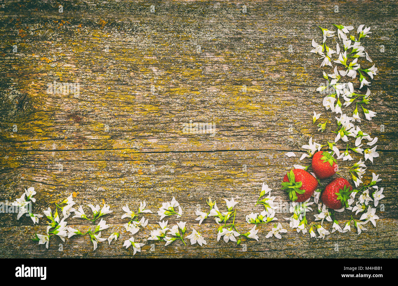 White flowers frame Stock Photo - Alamy