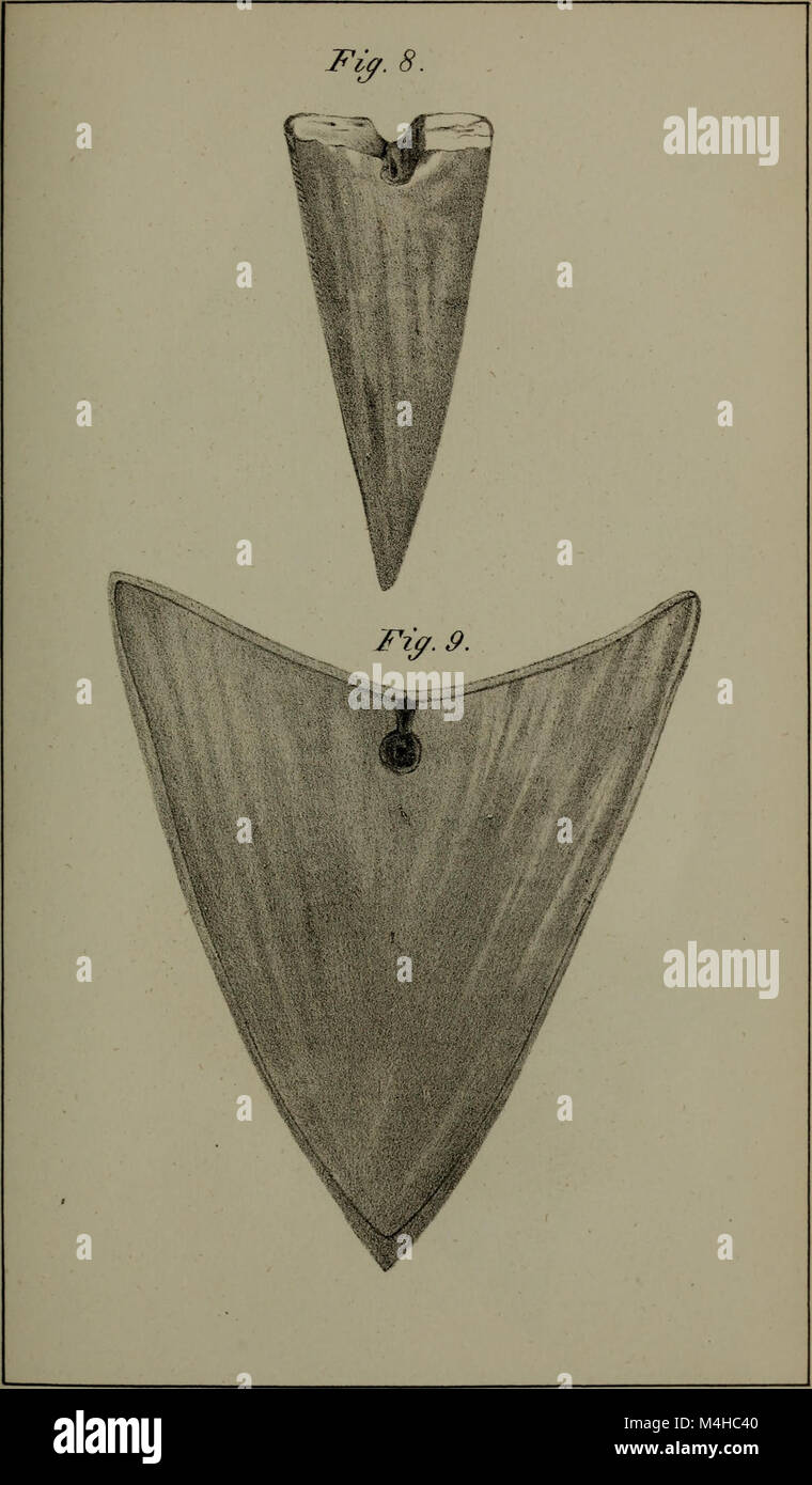 Annual report of the regents of the university of the state of New York ...