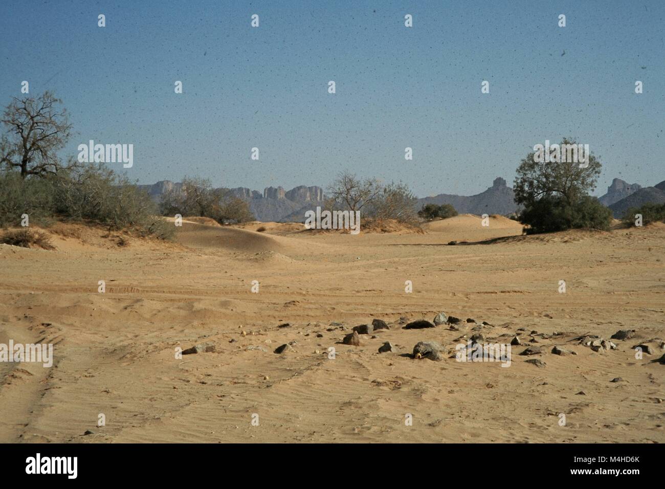 Wadi bed river not riverbed hi-res stock photography and images - Alamy