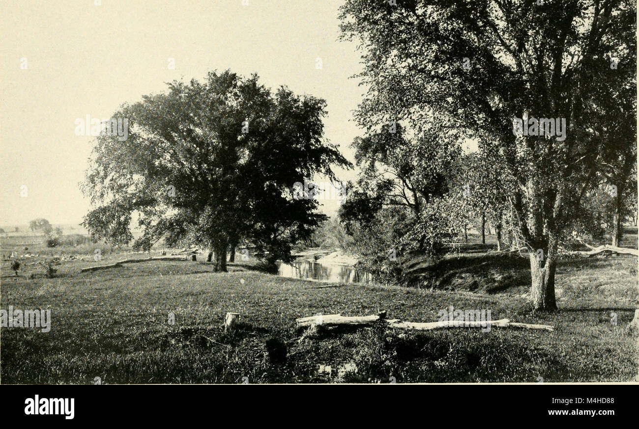 The 1914 Annual Report of the Minnesota State Entomologist provides a ...