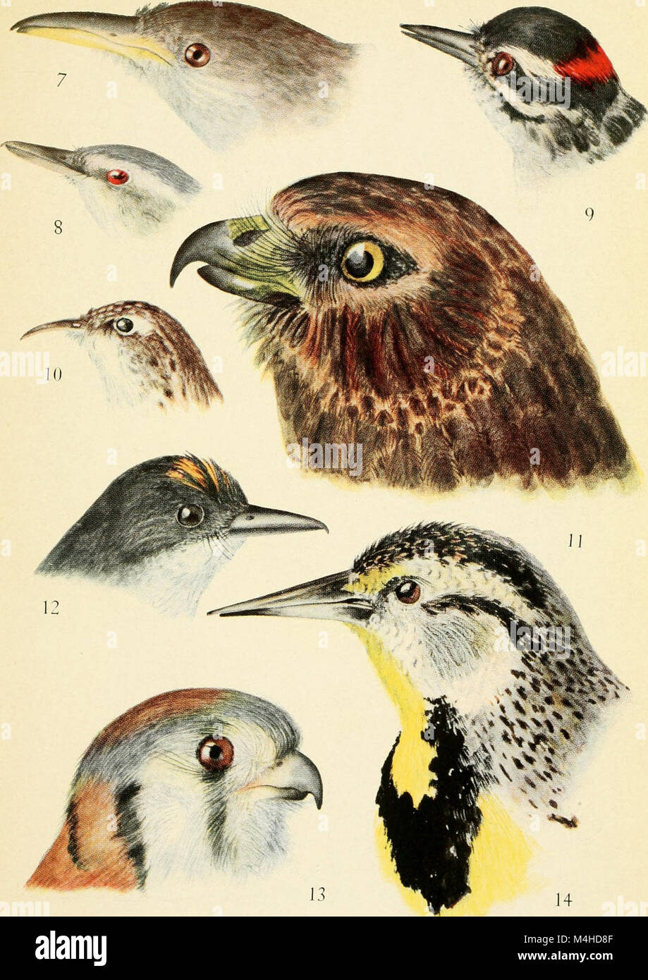 This 1914 report presents the findings and activities of the State ...