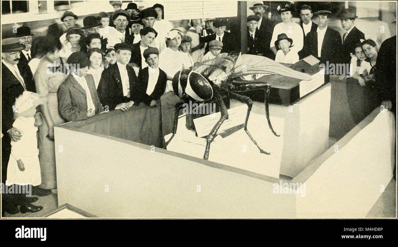 The 1914 Annual Report of the State Entomologist of Minnesota ...