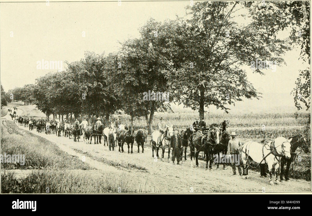 The 1916 annual report from the State Entomologist of Minnesota details ...