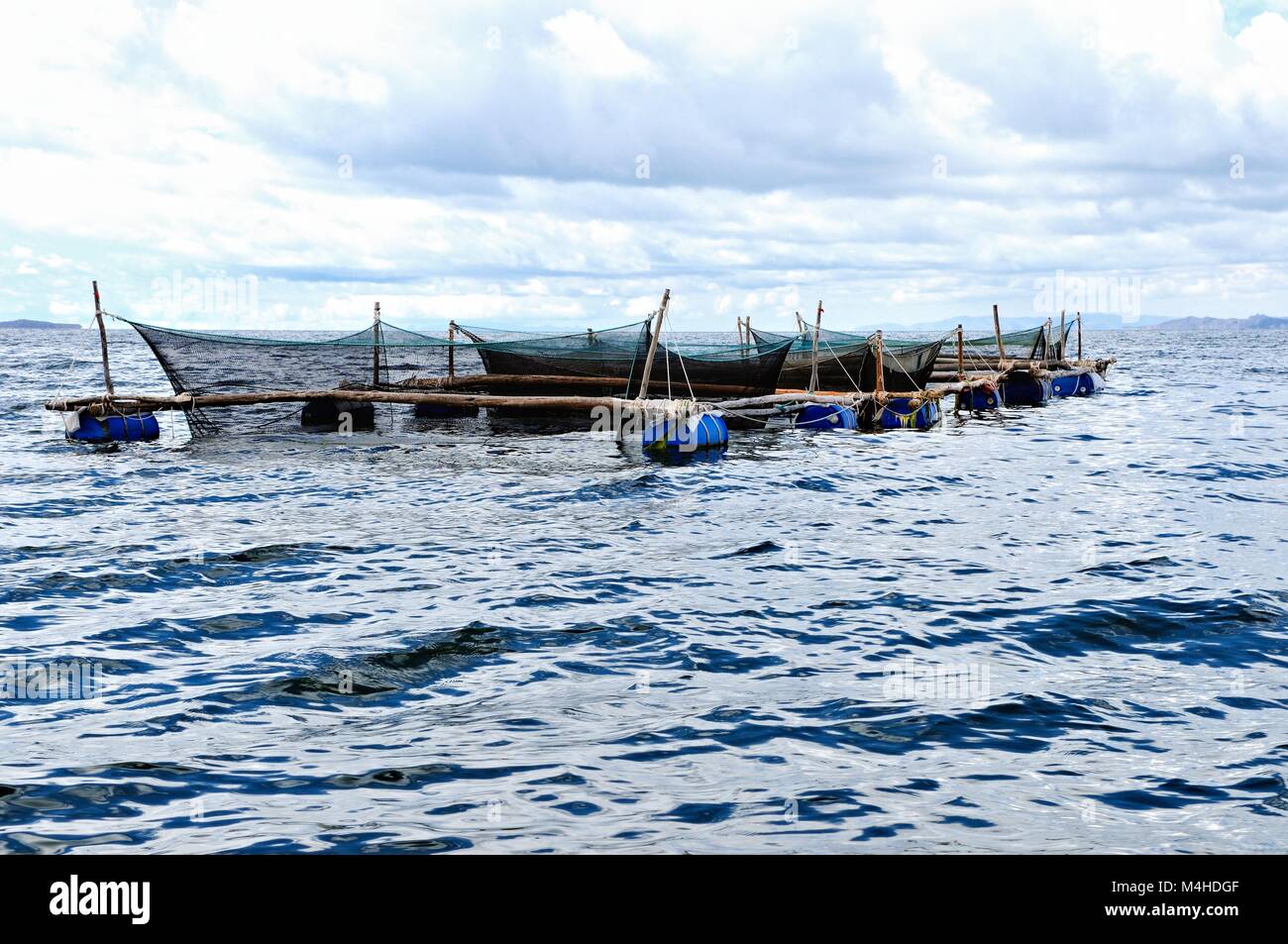 Fish farming on Lake Titicaca Stock Photo - Alamy