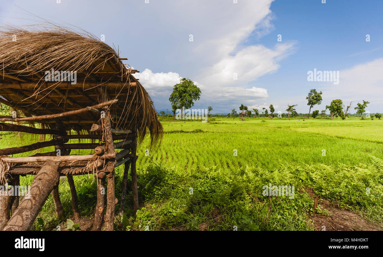 Missing tribe hi-res stock photography and images - Alamy