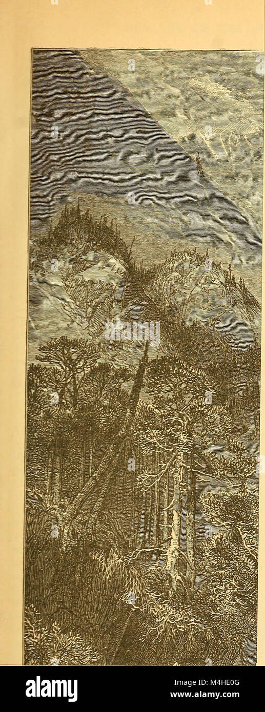 The annual report of the United States Geological and Geographical ...