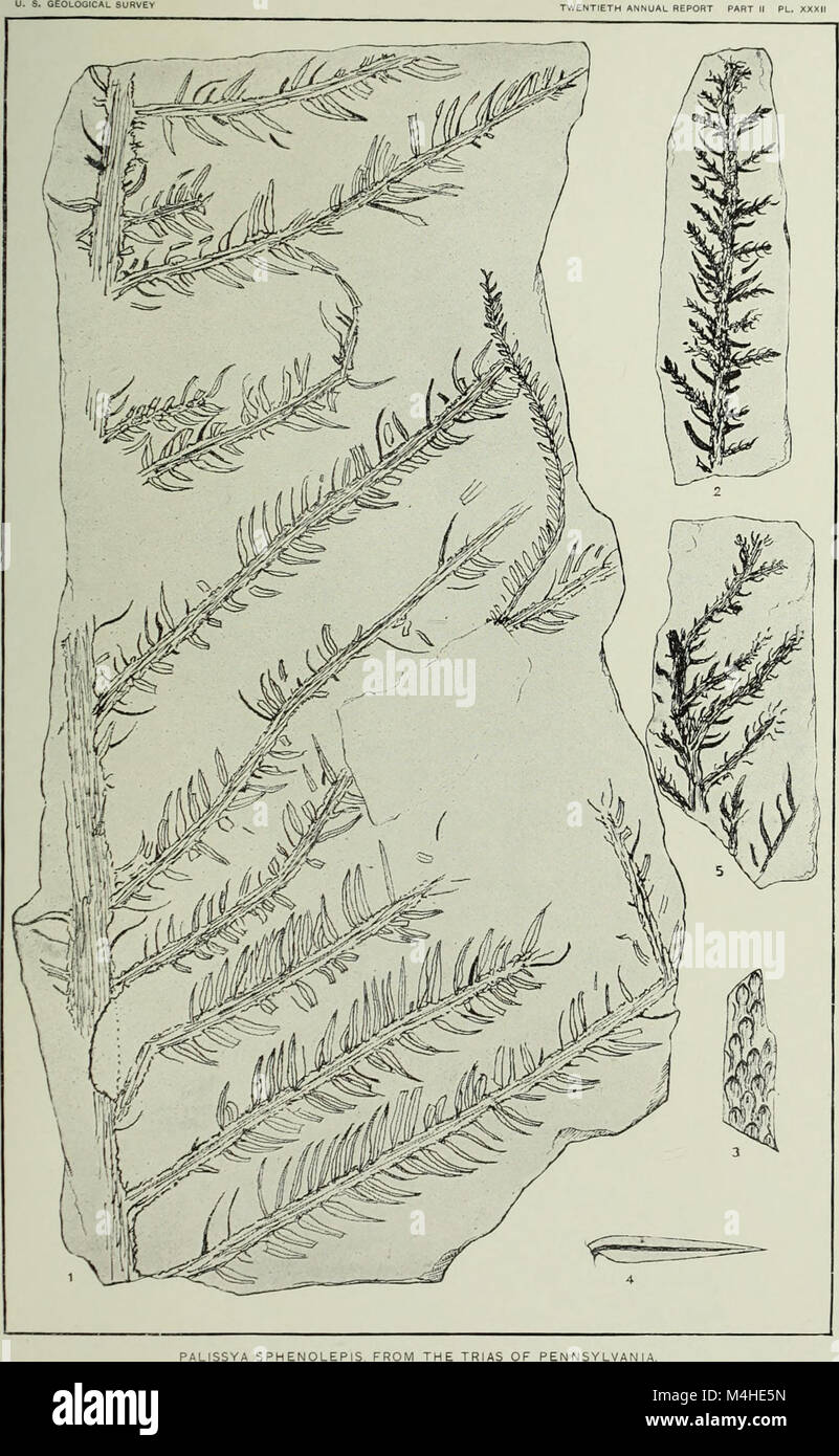 This 1898 annual report from the United States Geological Survey ...