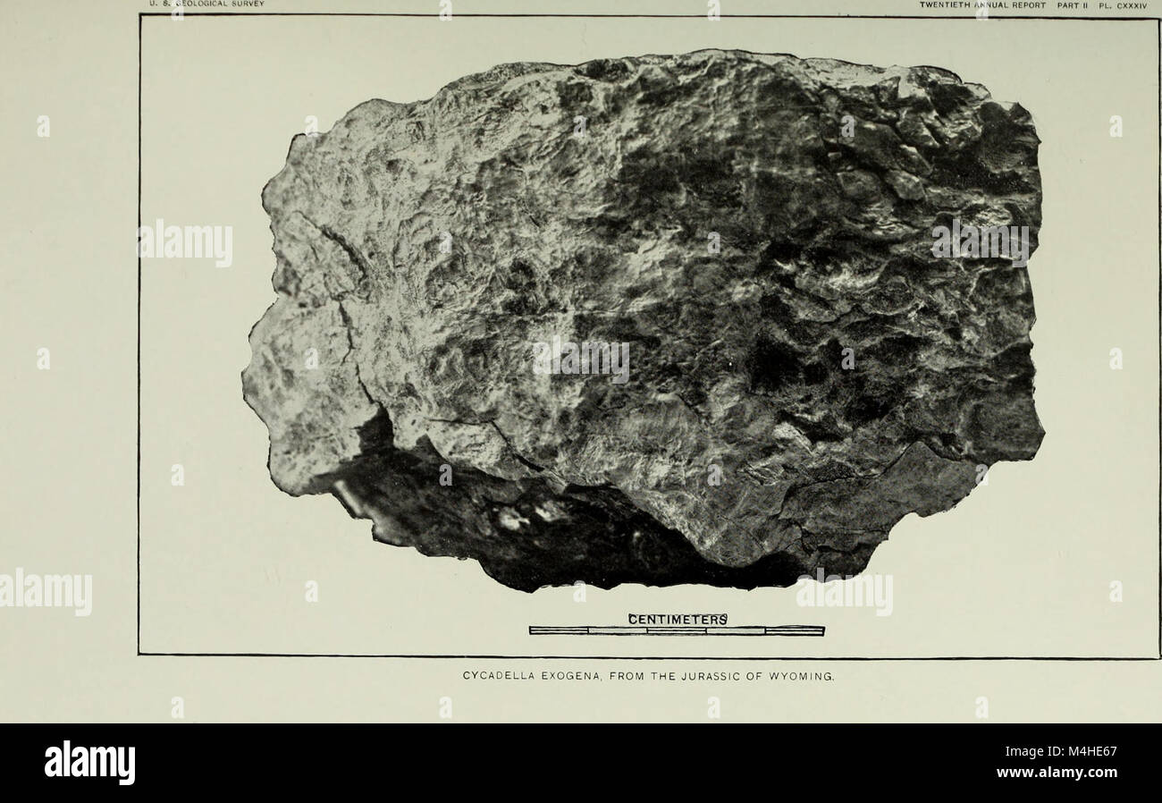 The 1898 Annual Report of the United States Geological Survey provides ...