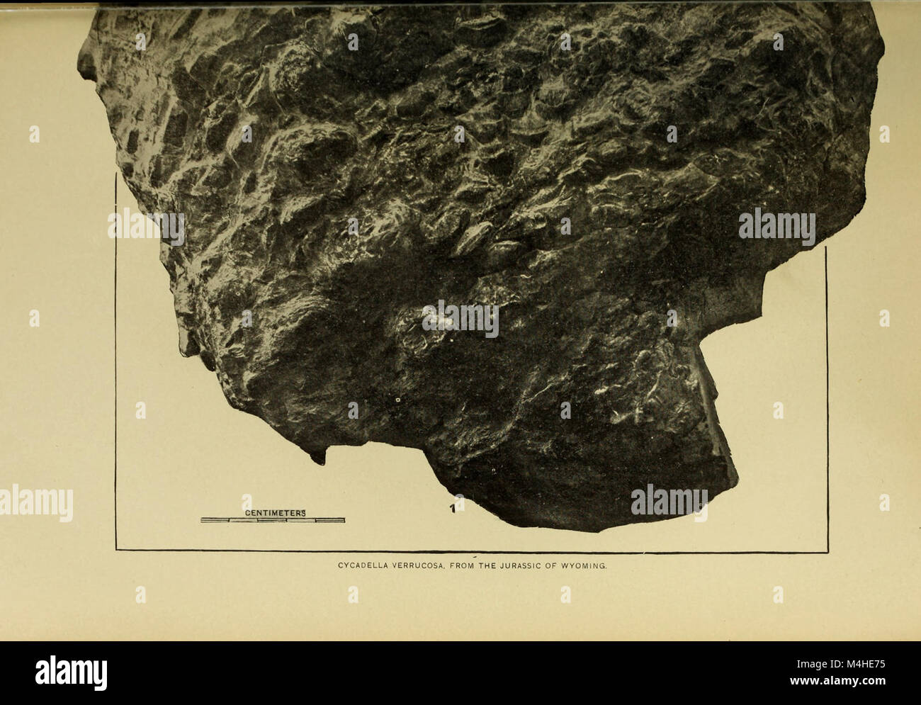 The 1898 Annual Report of the United States Geological Survey details ...