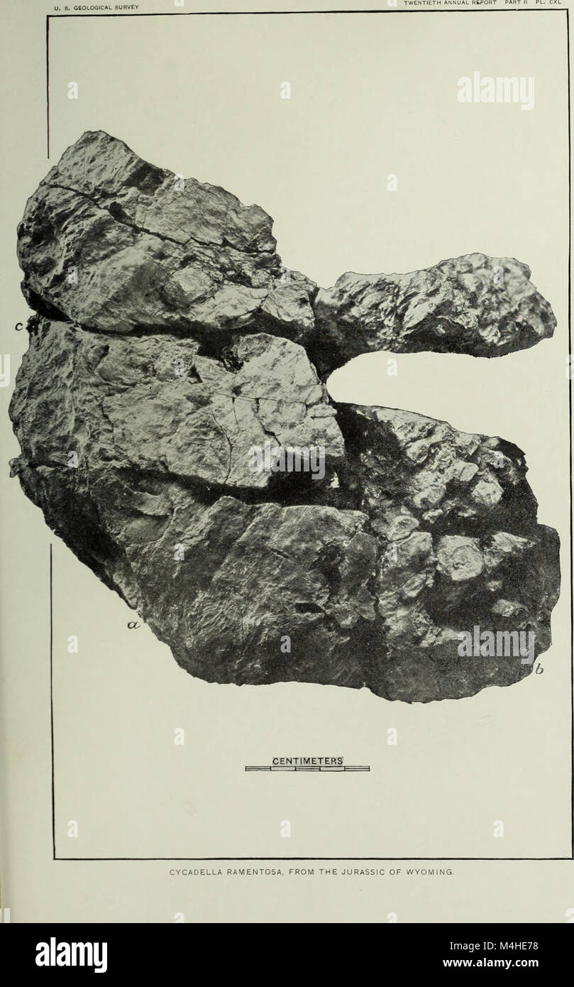 The 1898 Annual Report of the United States Geological Survey provides ...