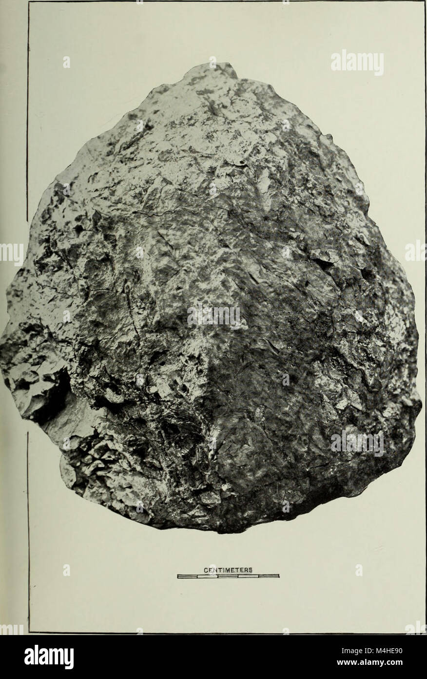The 1898 Annual Report of the United States Geological Survey outlines ...