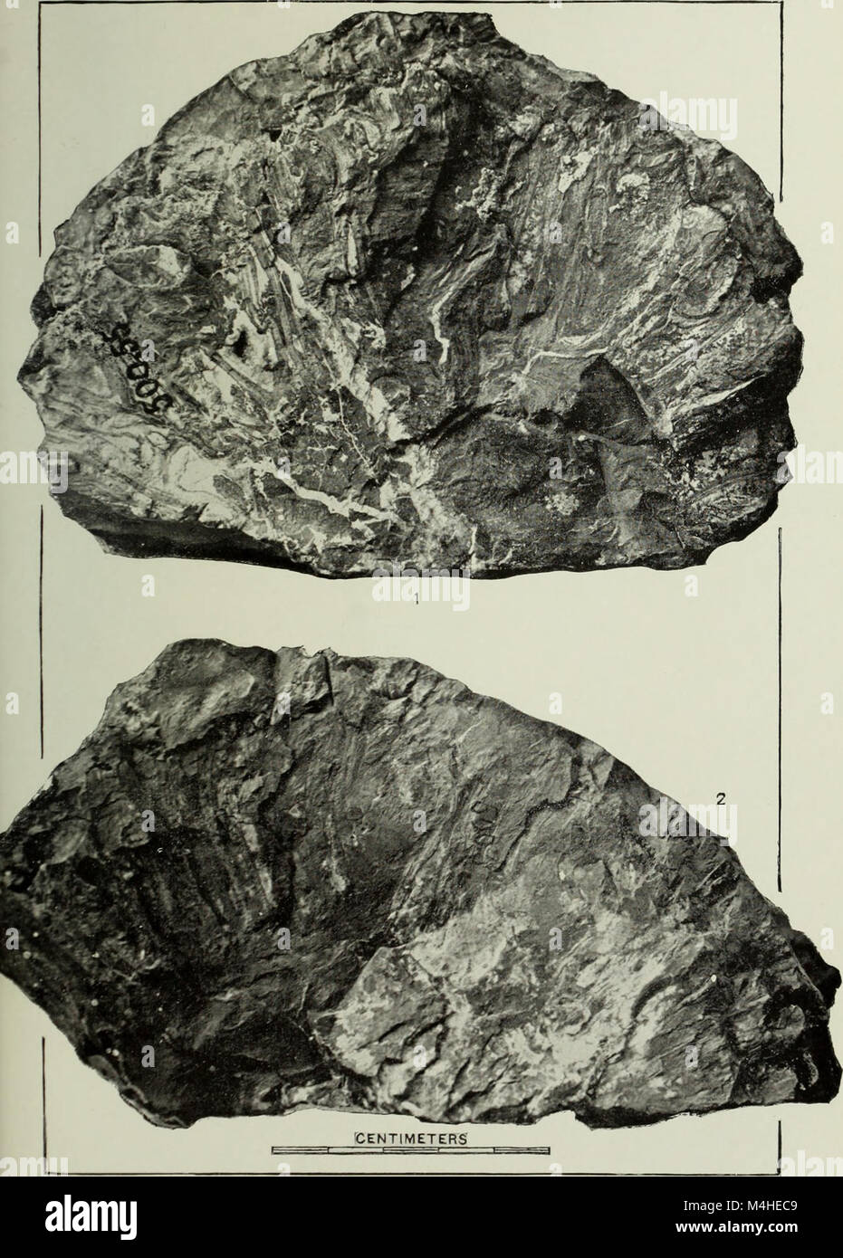 Annual report of the United States Geological Survey to the Secretary ...