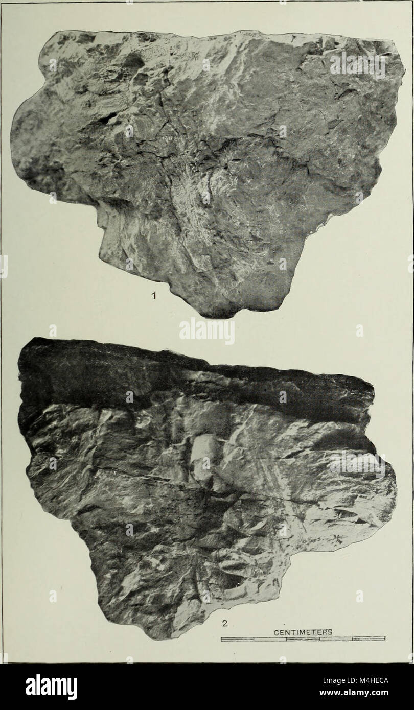 This 1898 report from the United States Geological Survey to the ...