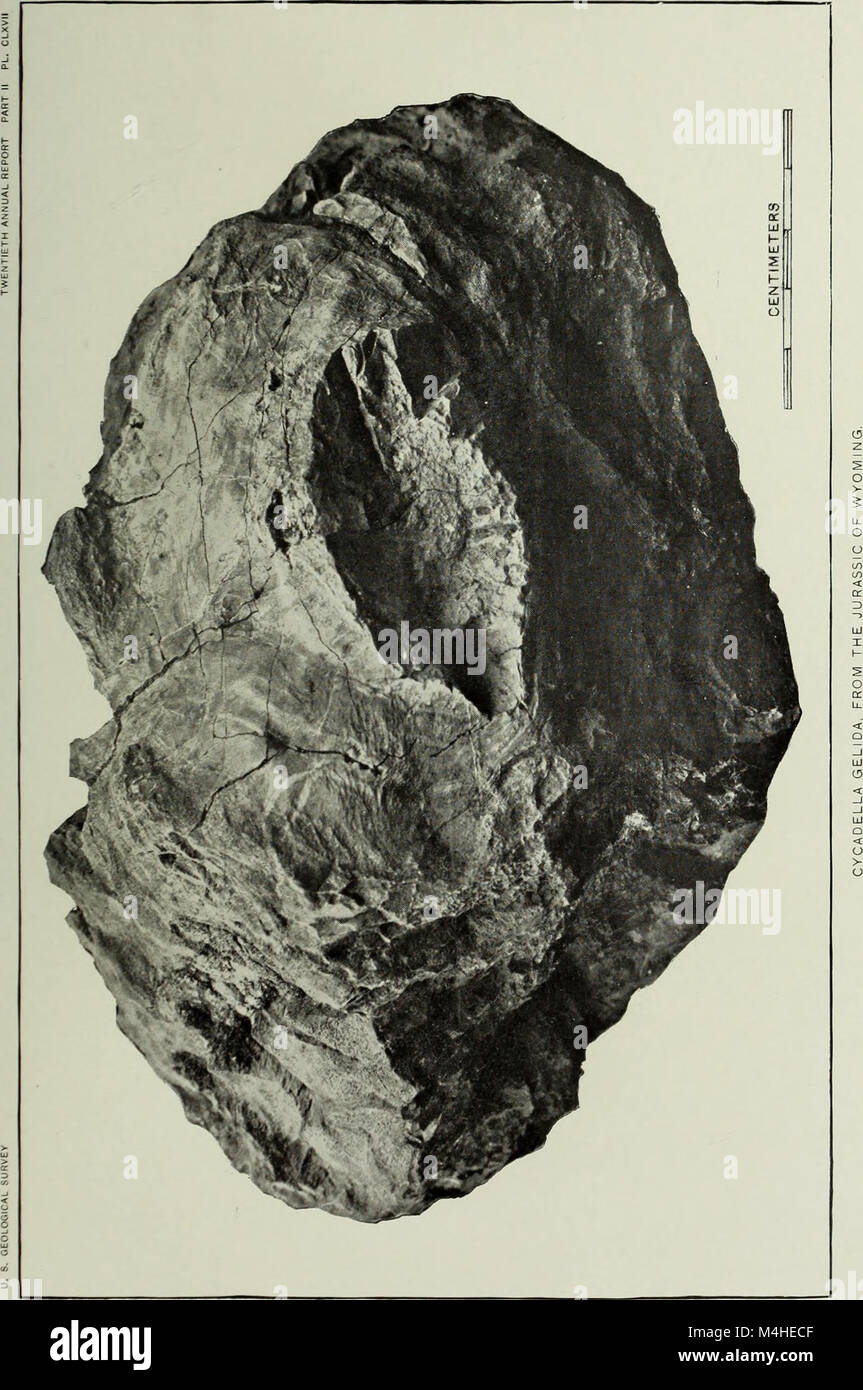 The 1898 annual report of the United States Geological Survey details ...