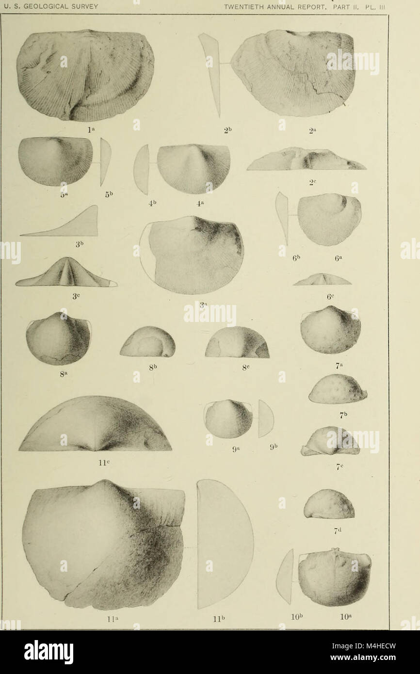 The 1898 annual report of the United States Geological Survey provides ...