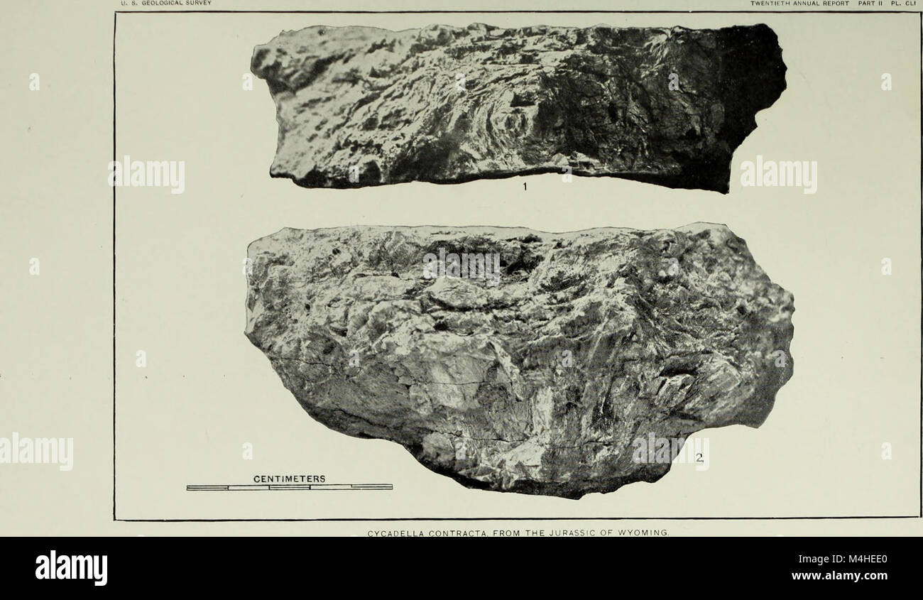 The 'Annual Report of the United States Geological Survey' to the ...