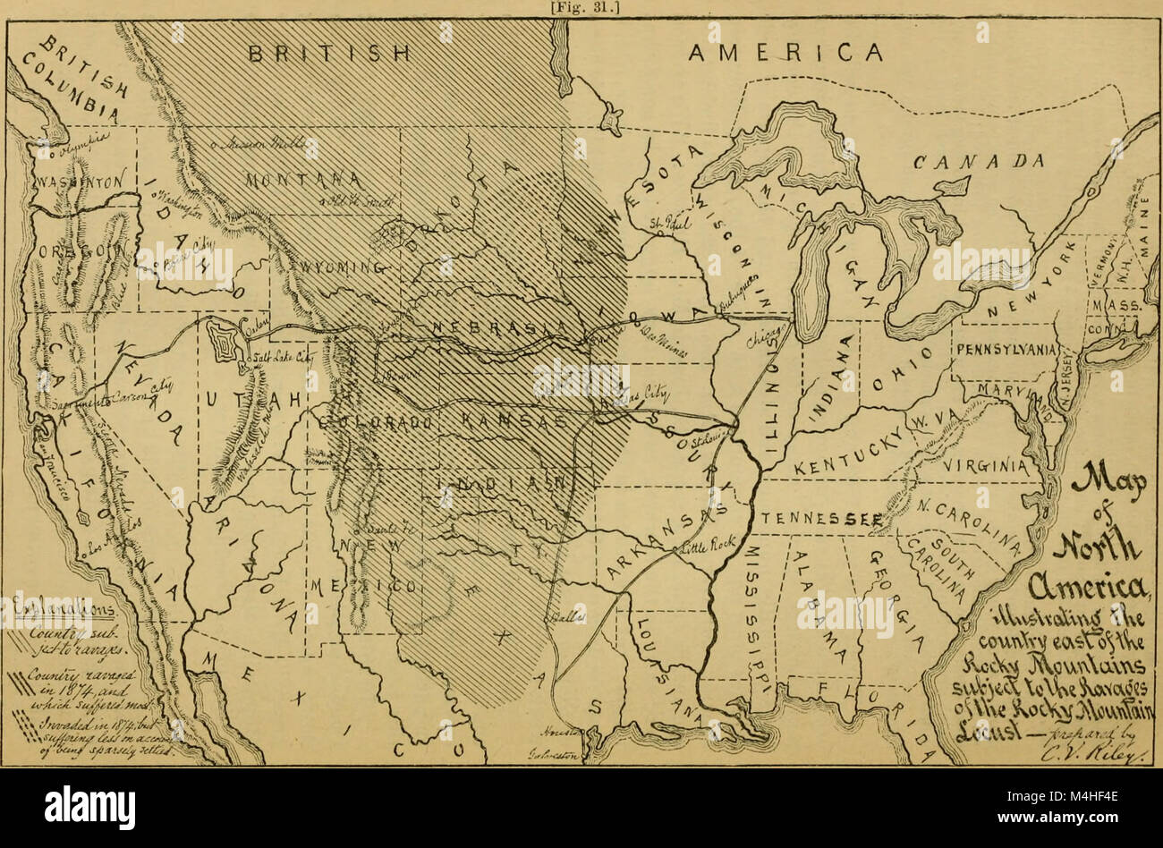 The Annual Report on the Noxious, Beneficial, and Other Insects of ...