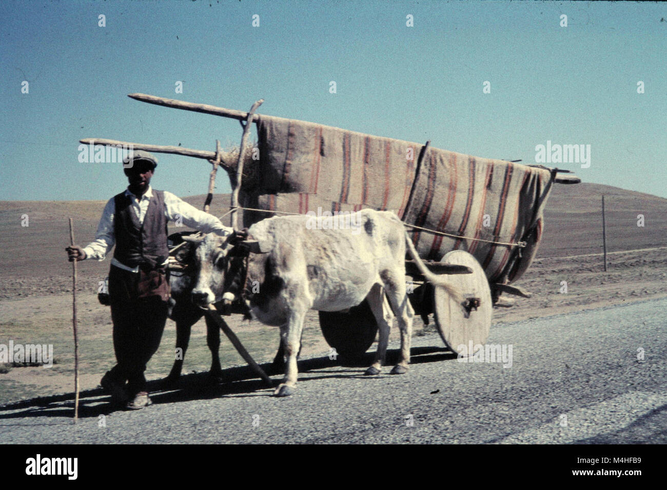 Carts pulled by cattle hi-res stock photography and images - Alamy