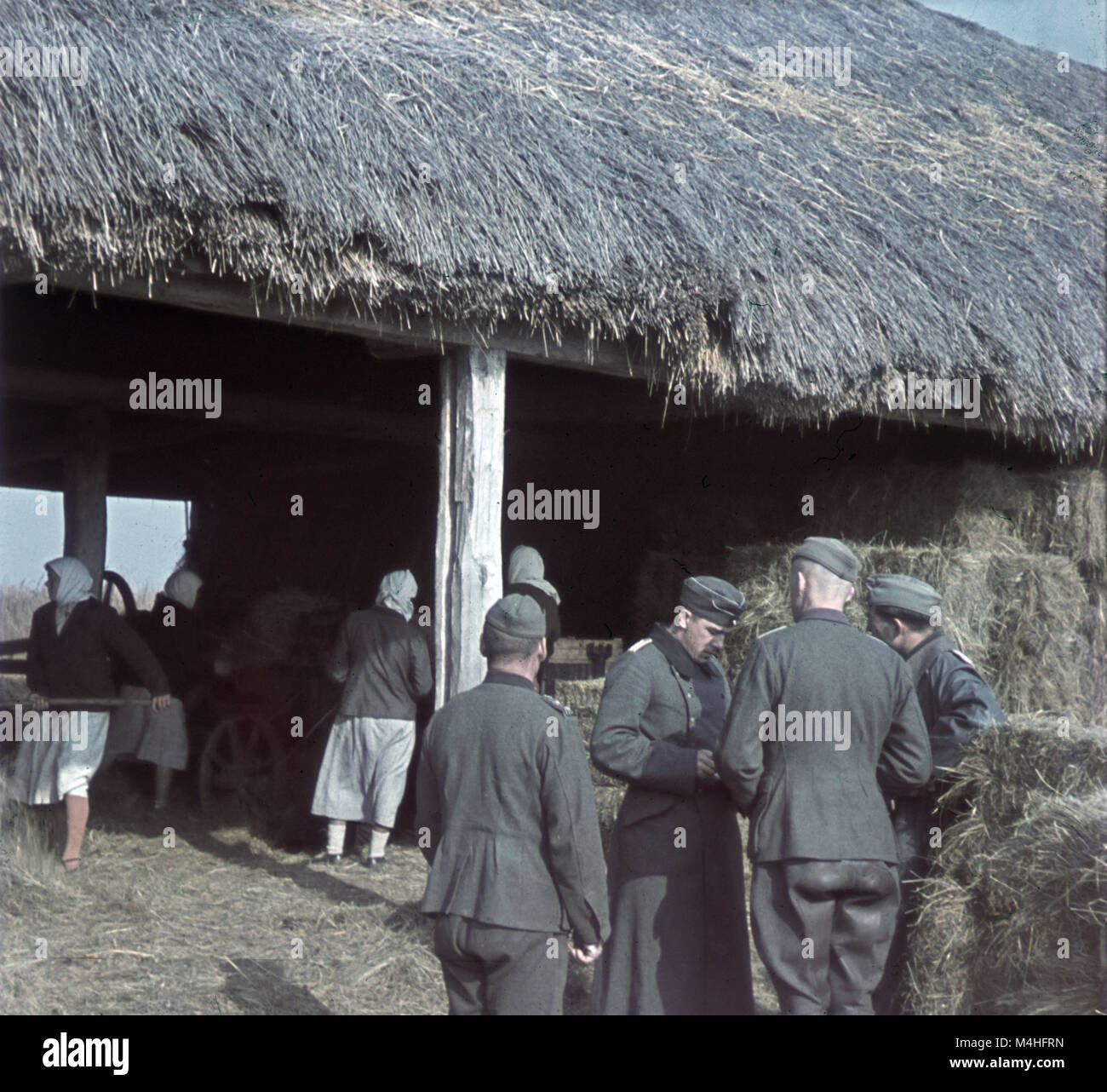 German Officers Stock Photos & German Officers Stock Images - Alamy