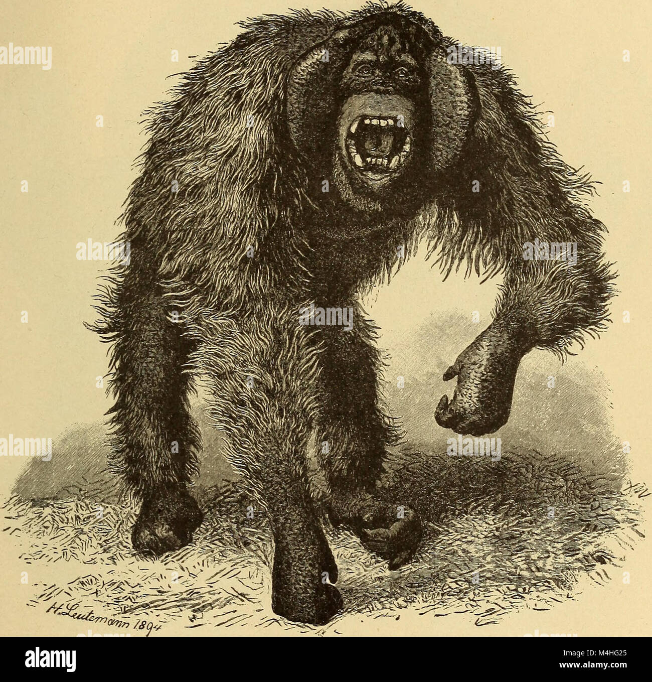 Anthropogenie; or, The Development History of Man (1910) explores the ...