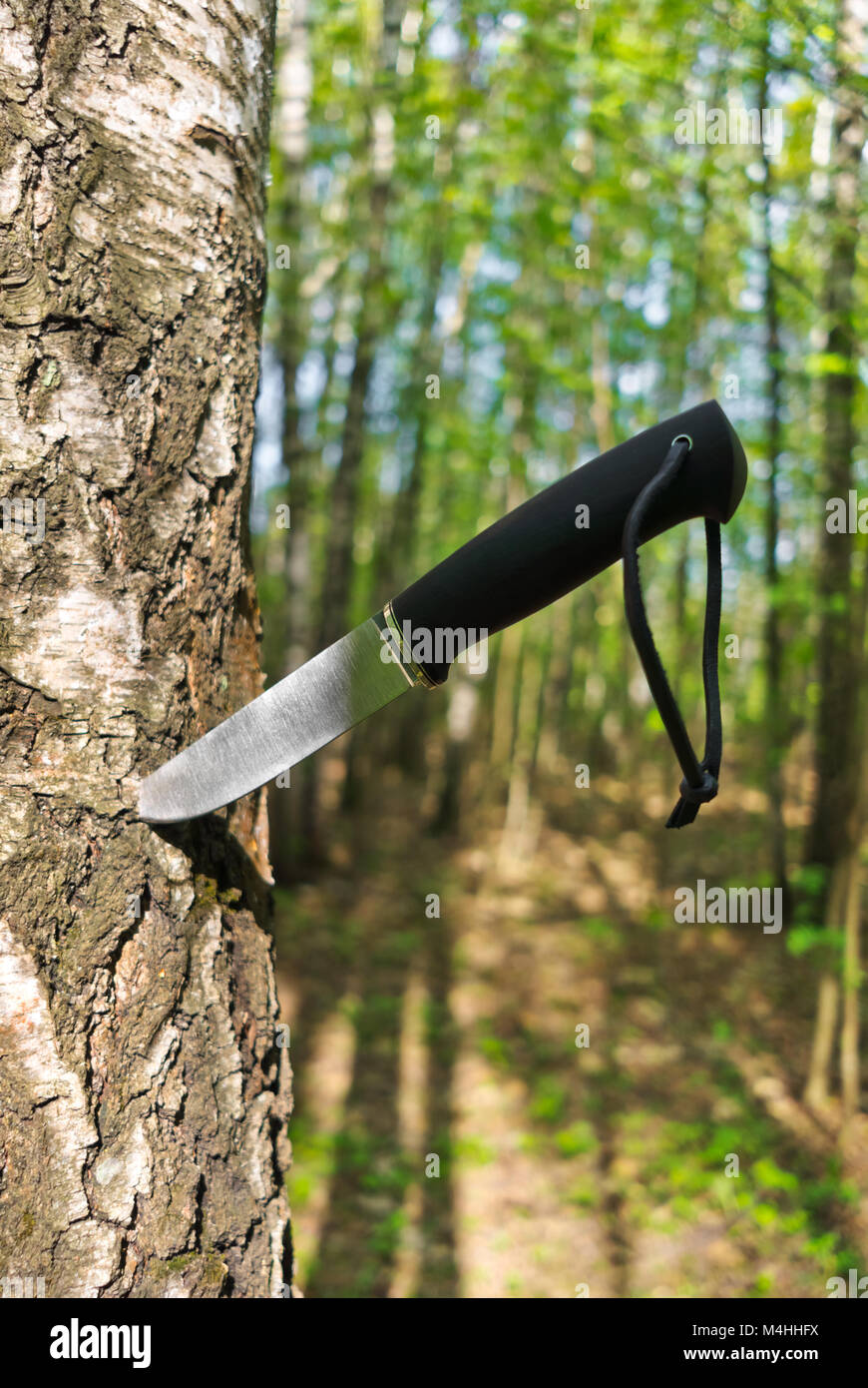 Knife stuck tree trunk hi-res stock photography and images - Alamy