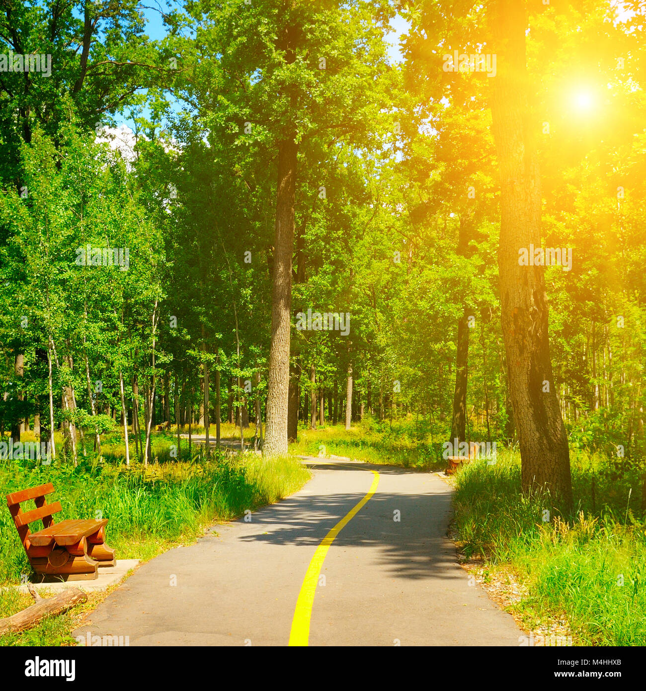 summer park with beautiful walking paths Stock Photo - Alamy
