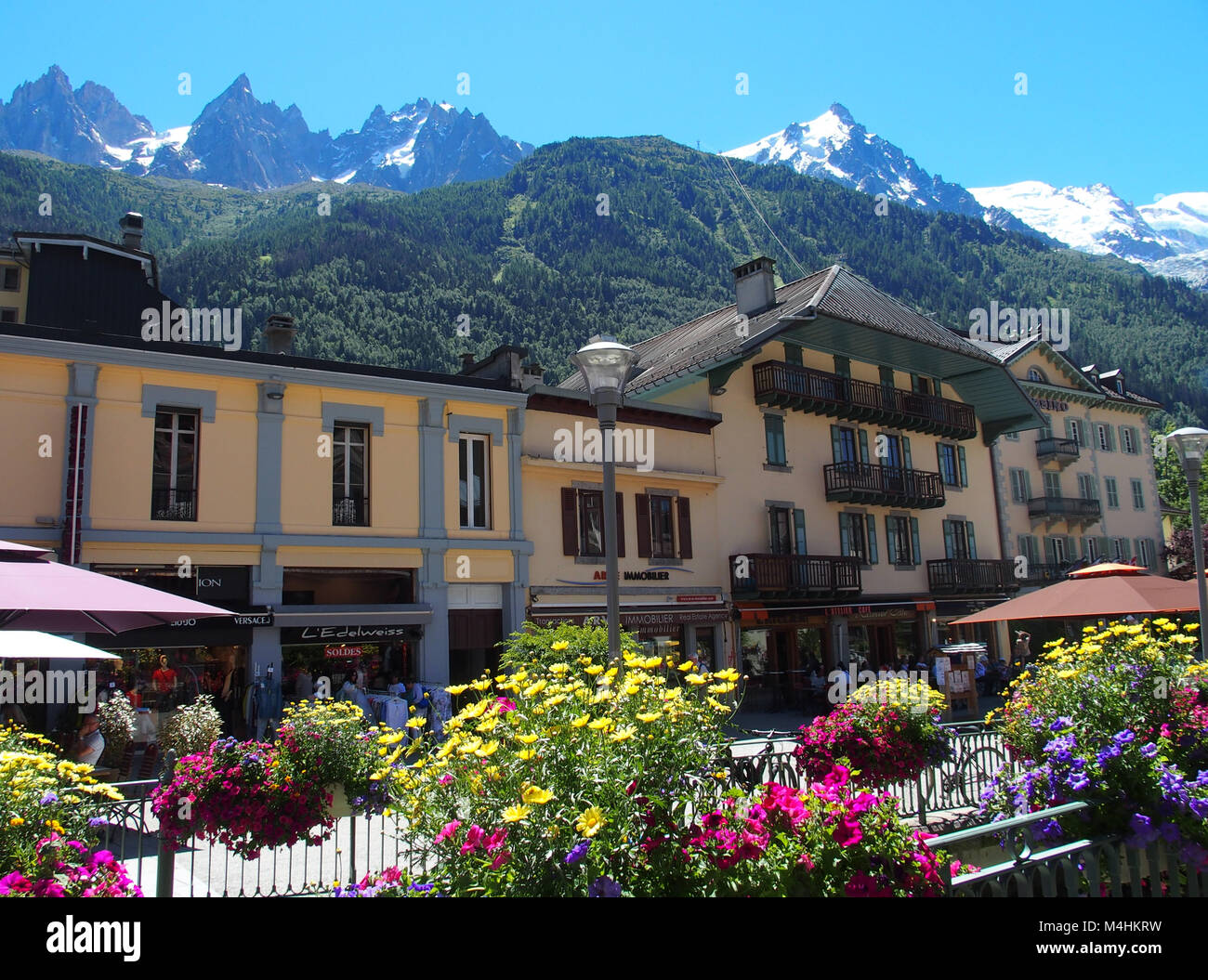 CHAMONIX MONT BLANC, FRANCE EUROPE on JULY 2016: Colorful flowers in ...