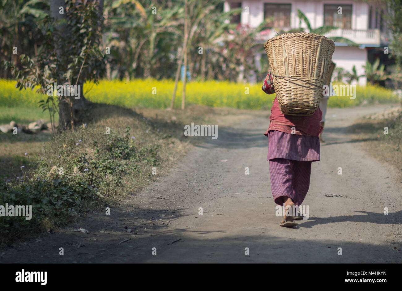 Lantang nepal hi-res stock photography and images - Alamy