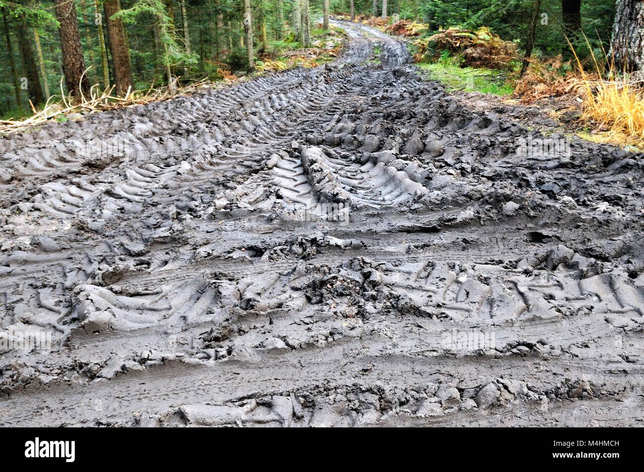 Skidding machines hi-res stock photography and images - Alamy