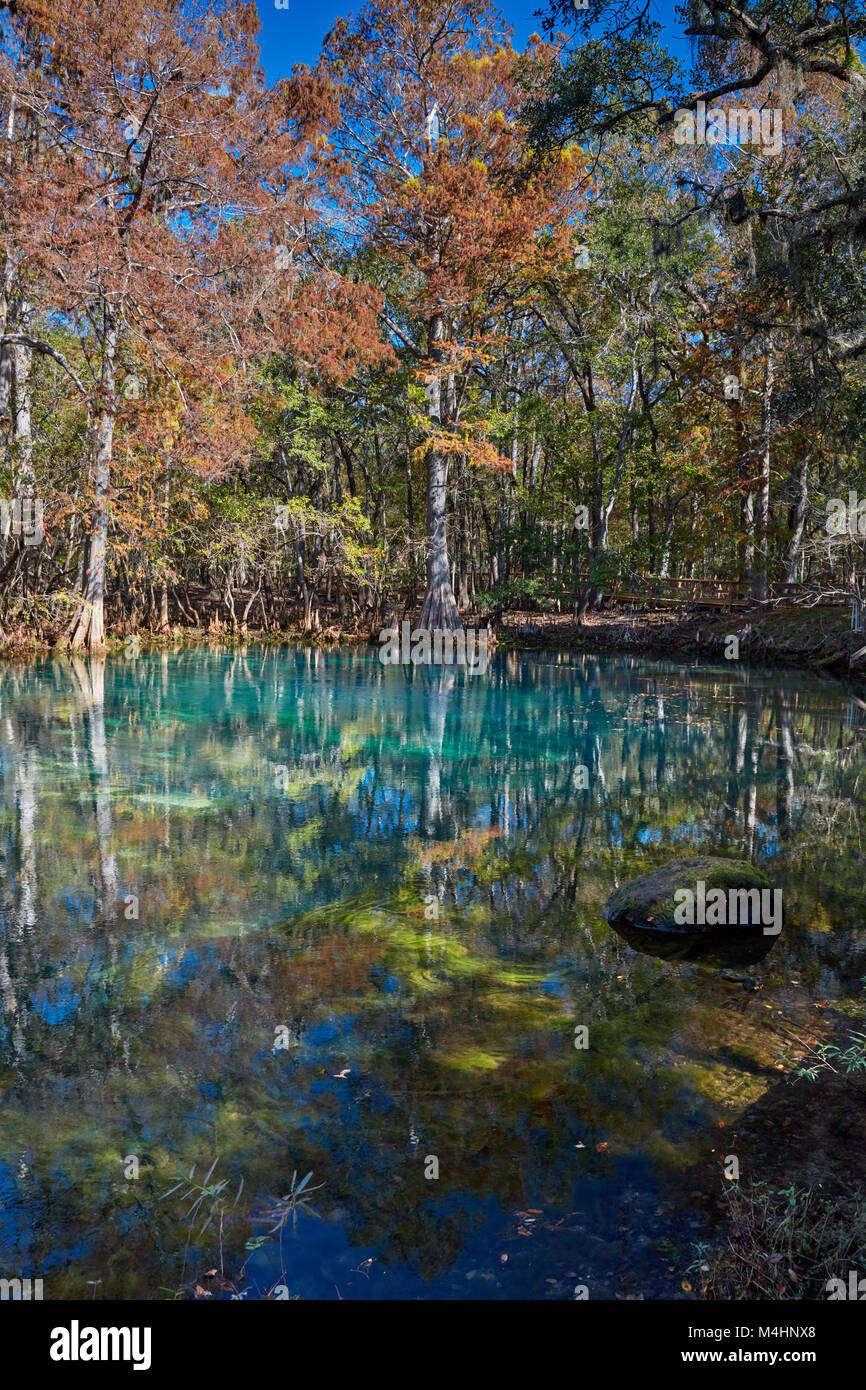 Manatee springs hi-res stock photography and images - Alamy