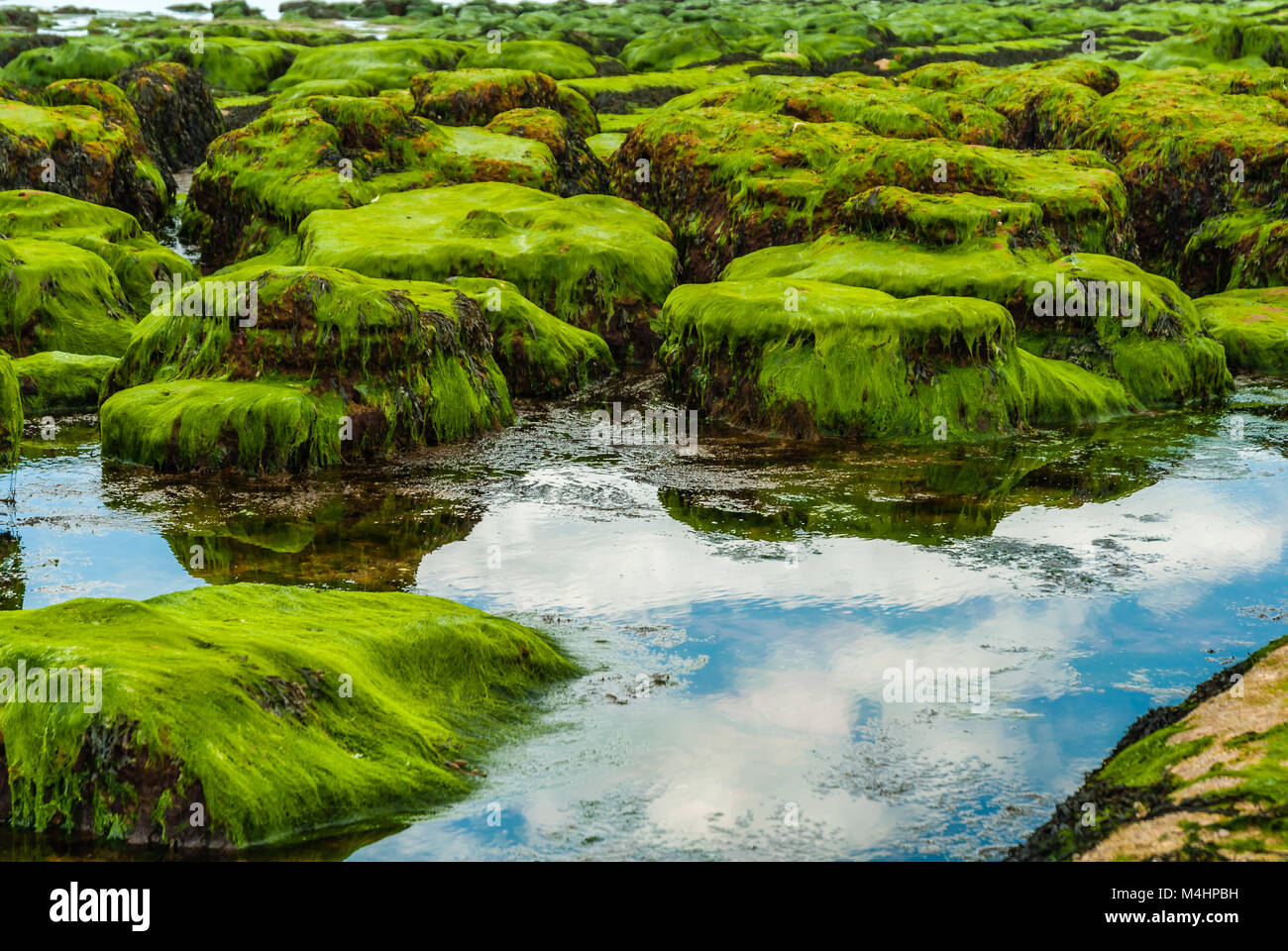 Rockpools beach rocks pool hi-res stock photography and images - Alamy